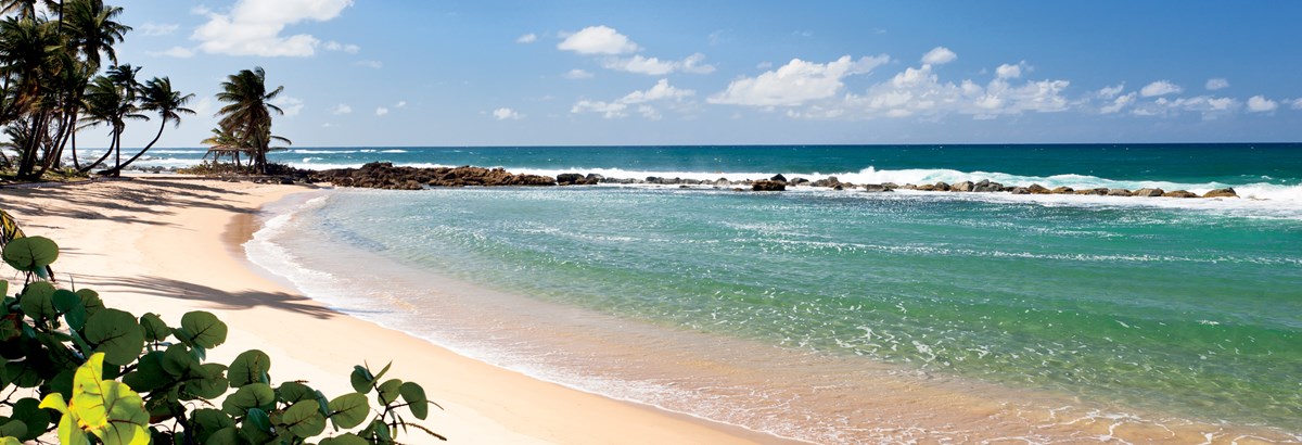 Dorado Beach Puerto Rico